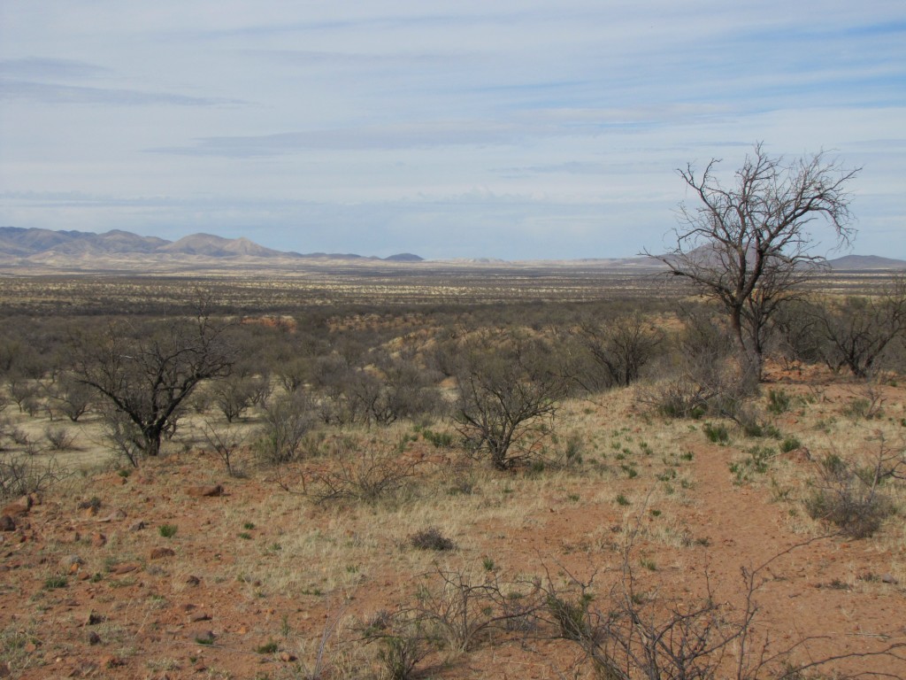 Women crossing the U.S. border face sexual assault with little ...