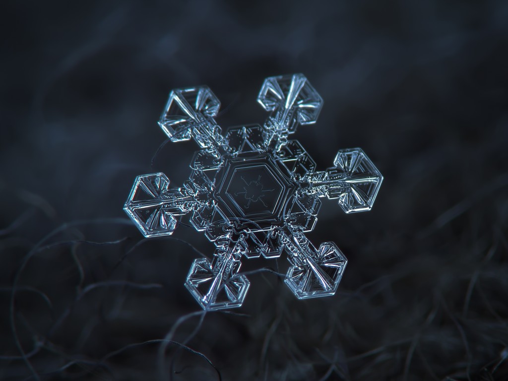 12 stunning snowflake photos you won’t believe were taken by an amateur ...