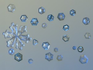12 stunning snowflake photos you won’t believe were taken by an amateur ...