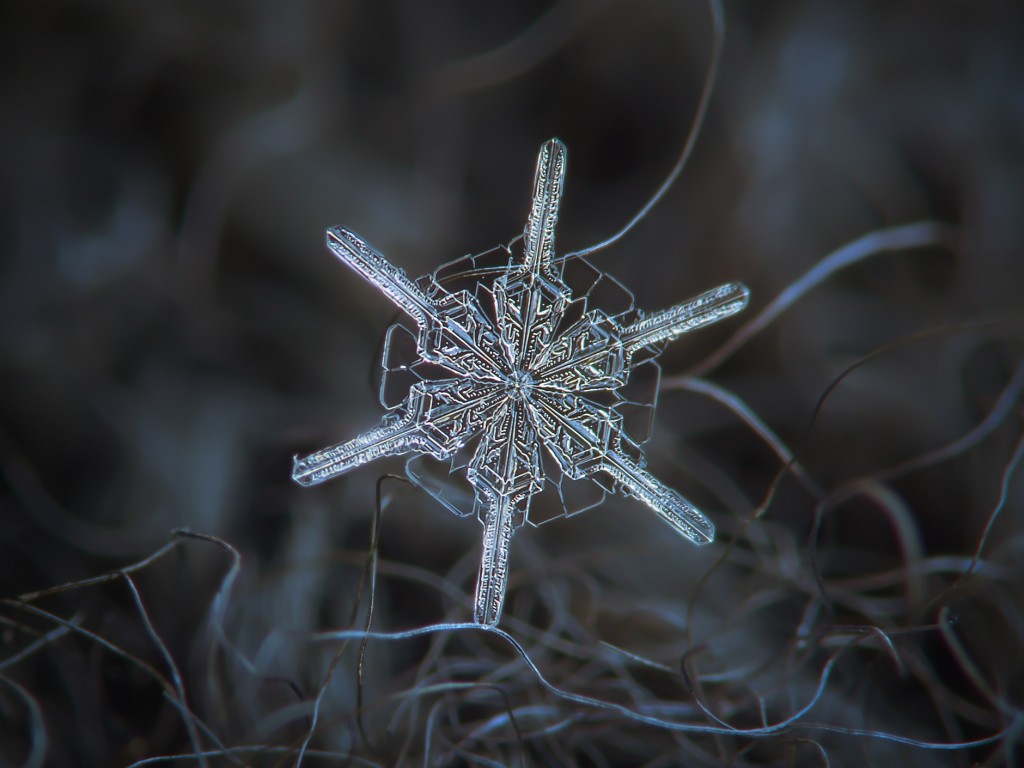 12 stunning snowflake photos you won’t believe were taken by an amateur ...