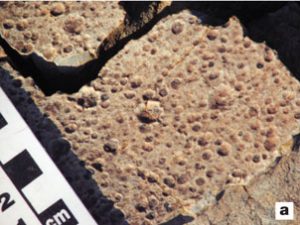 Fossilized bubbles could expand our search for habitable planets | PBS News