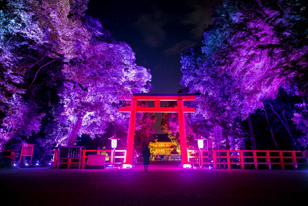 Japanese Light Show