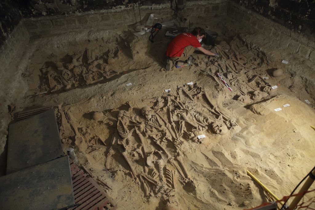 Human plague cases drop in U.S. | PBS News