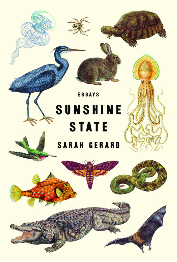 19 summer books that will keep you up all night reading | PBS News