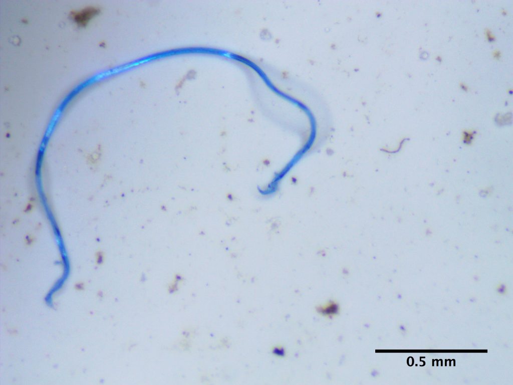 This New York river dumps millions of fabric microfibers into the ocean ...