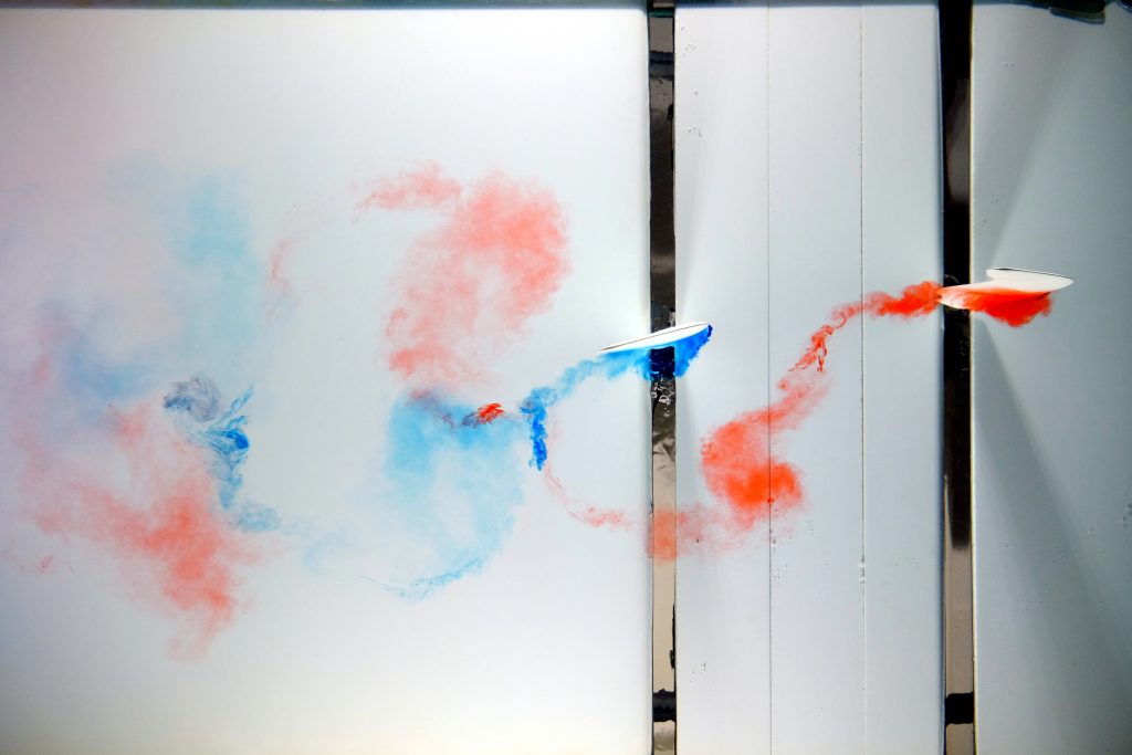 The odd swimming style of plesiosaurs decoded by a robot | PBS News