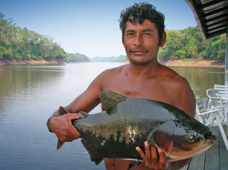 Amazonian fish need tropical forests to survive | PBS News