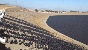 Why 96 million plastic 'shade balls' dumped into the LA Reservoir may ...