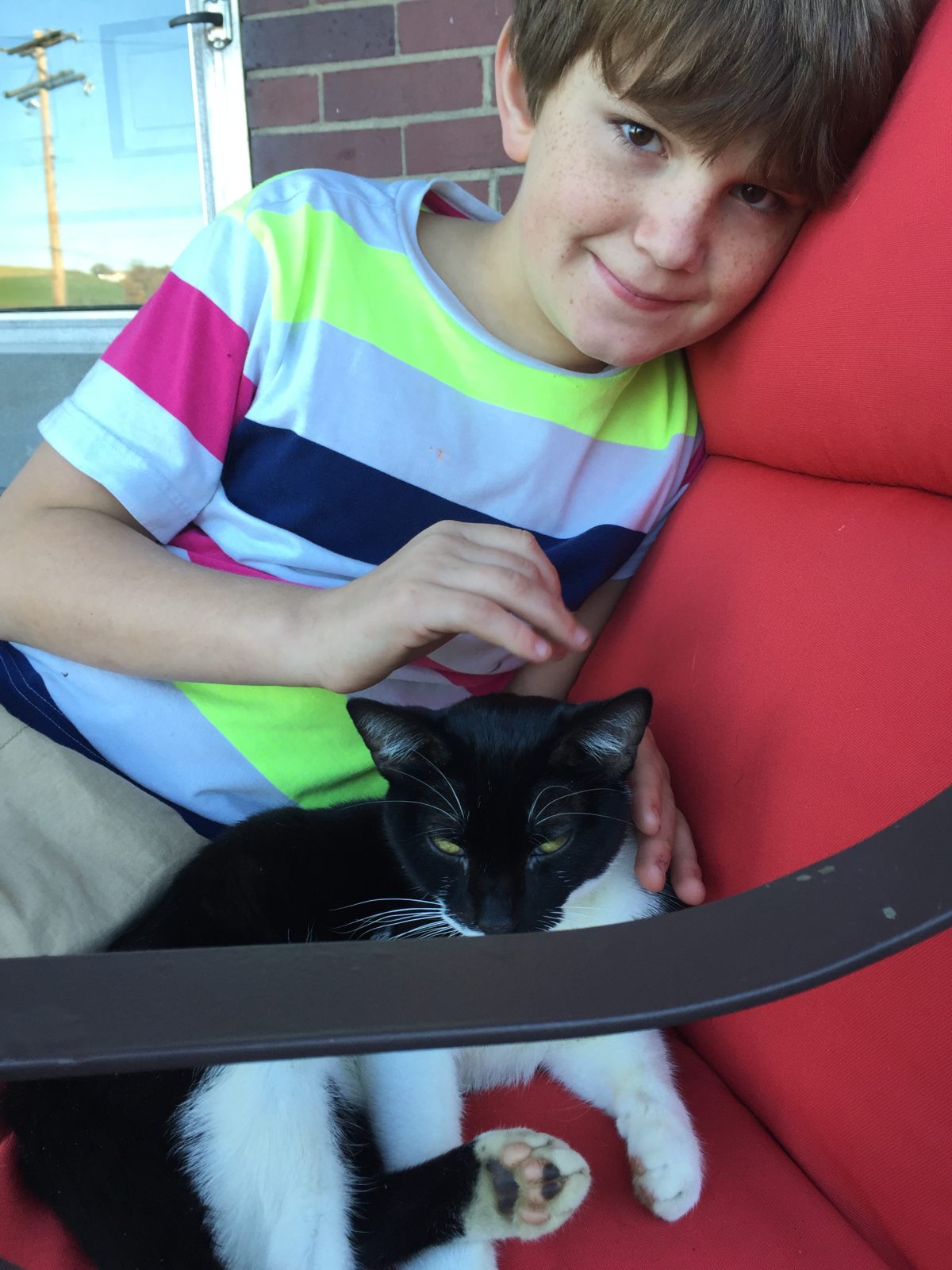 A child lost a sixth of his brain, then made an amazing comeback | PBS News