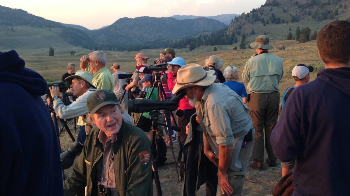 PHOTOS: Meet the wolves and humans who inspired ‘American Wolf’ | PBS News