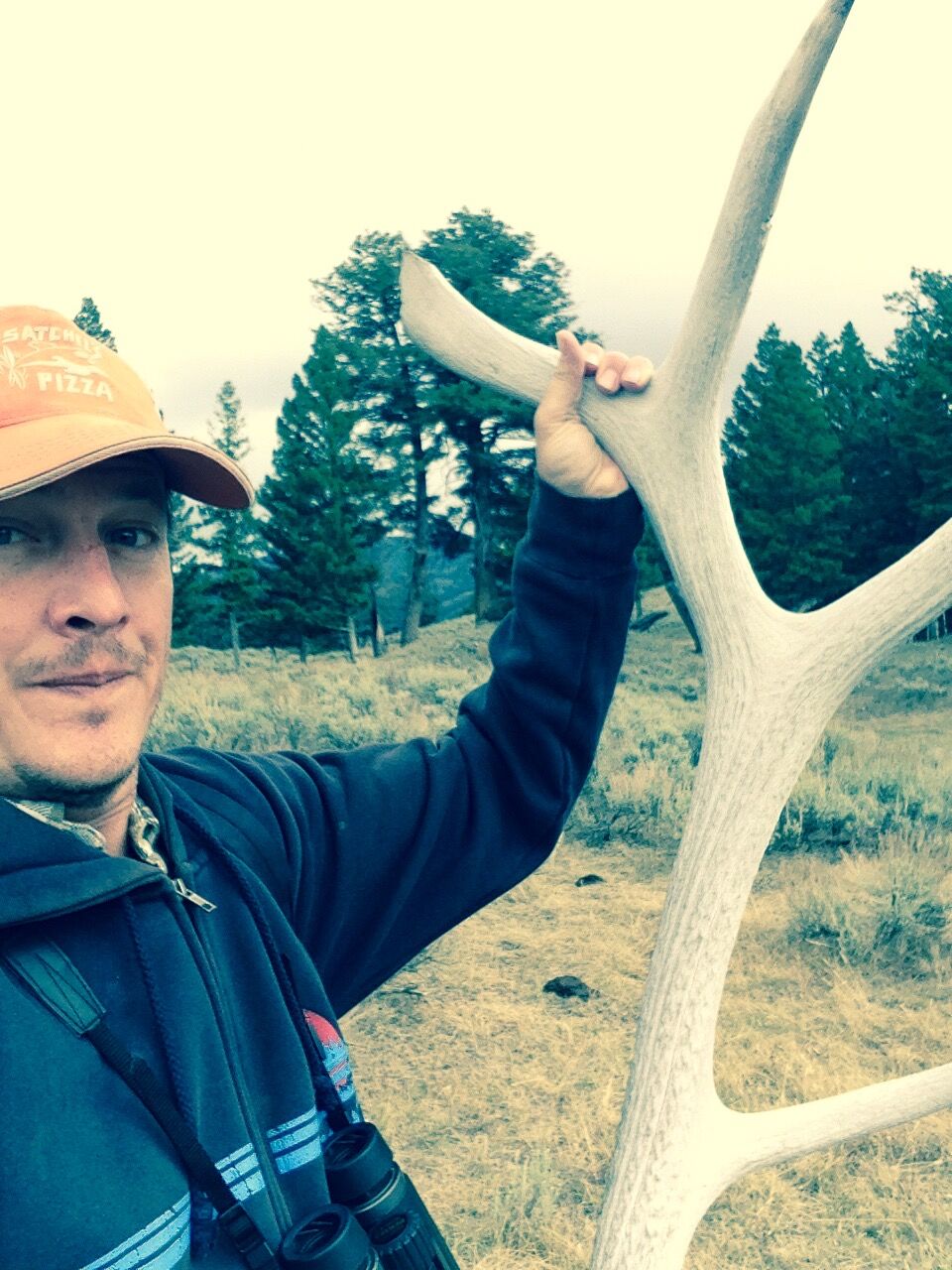 PHOTOS: Meet the wolves and humans who inspired 'American Wolf' | PBS News