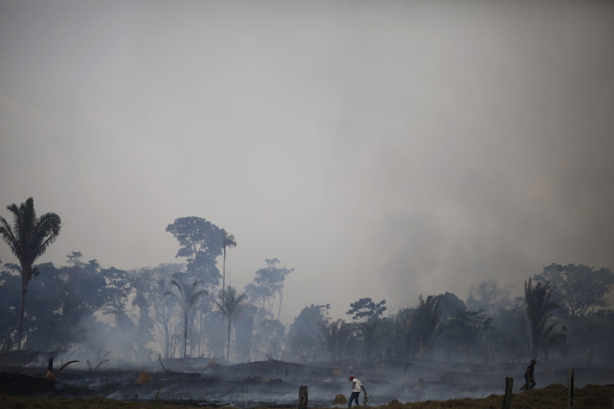 How the U.S.-China trade war could damage the Amazon rainforest | PBS News