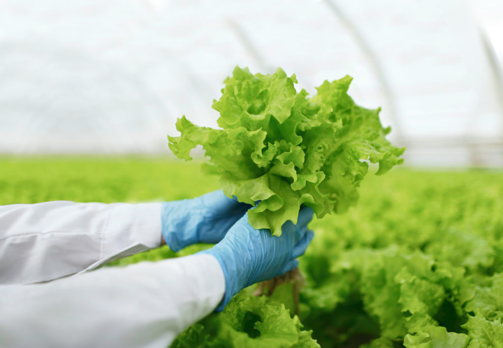 Future of Food | PBS NewsHour