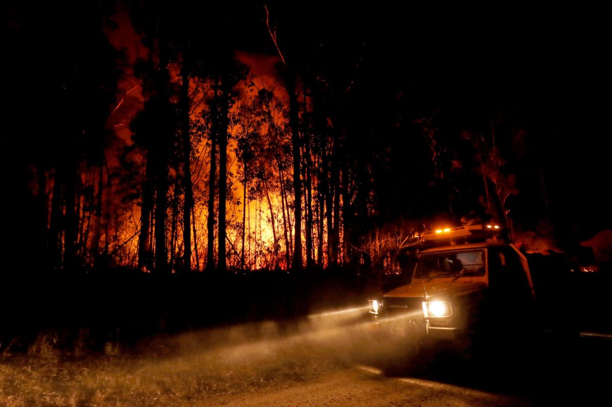 PHOTOS: Australia endures deadly, historic wildfires | PBS News