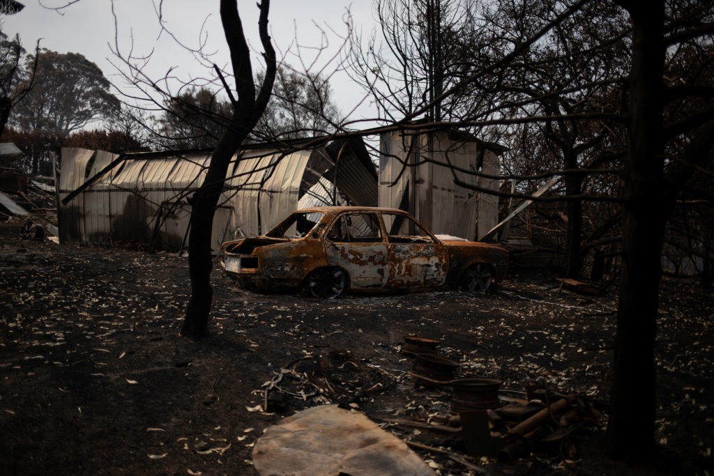 Australian ecosystems left vulnerable in wake of bushfire catastrophe ...