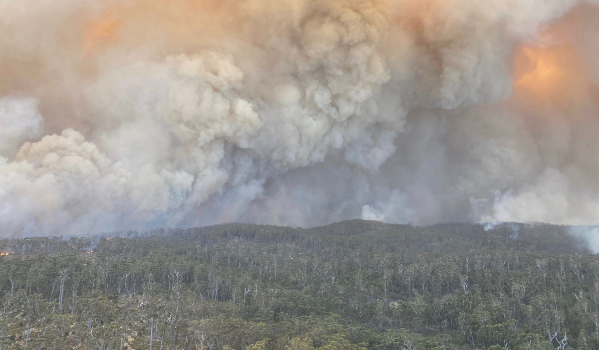 How ash and debris are choking Australia’s rivers | PBS News