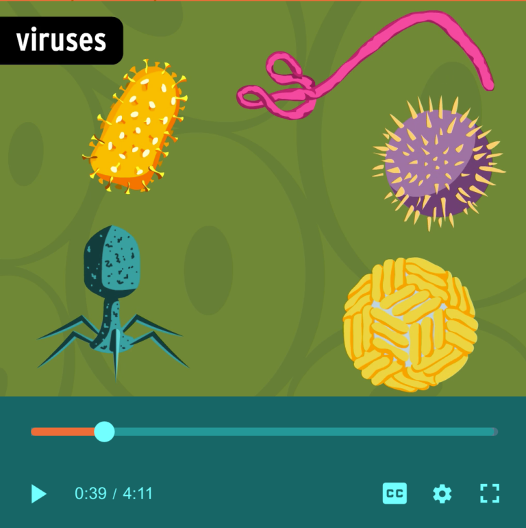 10 tips for talking about COVID-19 with your kids | PBS NewsHour