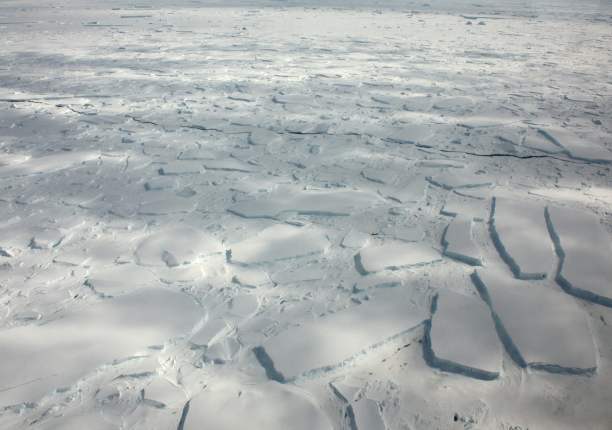 Canada’s last intact ice shelf collapses due to warming | PBS News