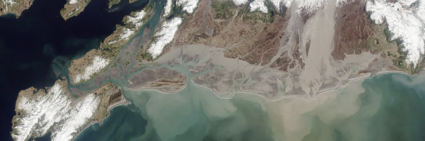 How mud shaped life on Earth | PBS News