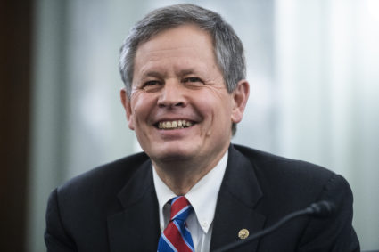 Republican Steve Daines wins reelection to Senate seat from Montana ...