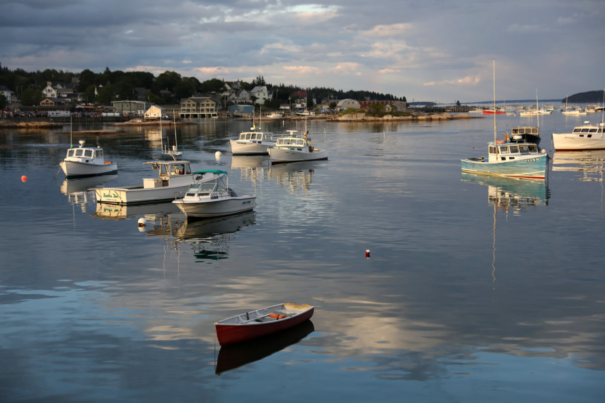 Could new camera technology help save world’s dwindling fish stocks ...