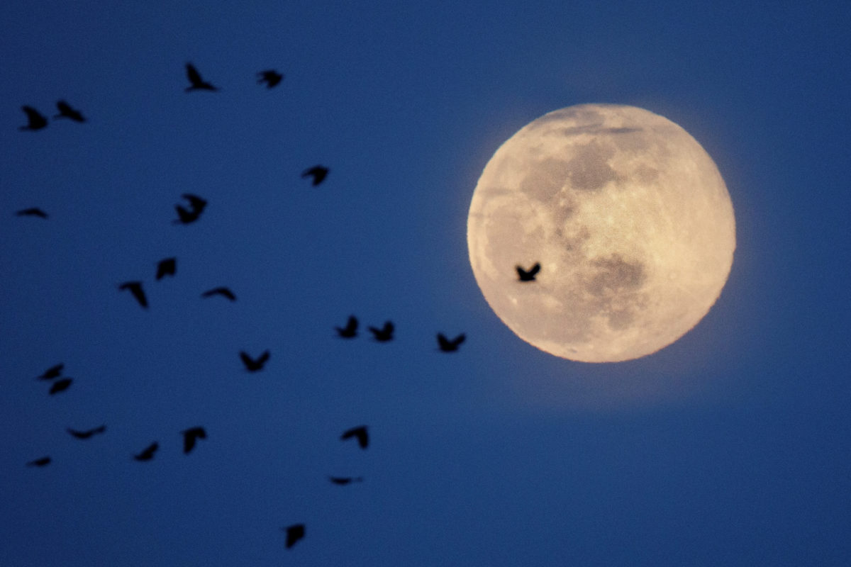 Monday’s supermoon has a tide-shifting twist | PBS News