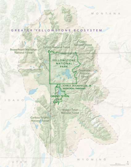 Climate change is 'fundamentally' altering Yellowstone's ecosystem ...