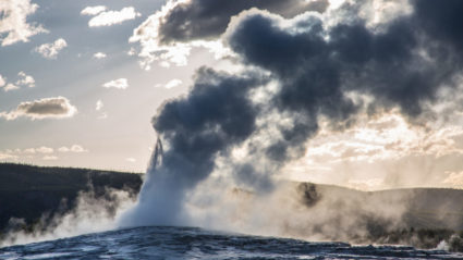 Climate change is 'fundamentally' altering Yellowstone's ecosystem ...