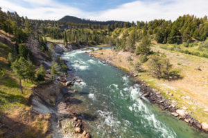 Climate change is 'fundamentally' altering Yellowstone's ecosystem ...