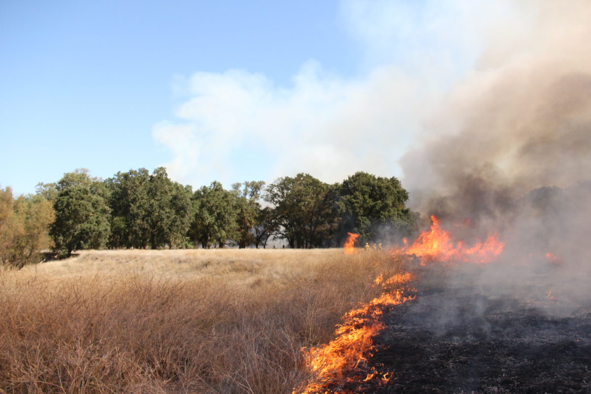 ‘Fire is medicine’: How Indigenous practices could help curb wildfires ...