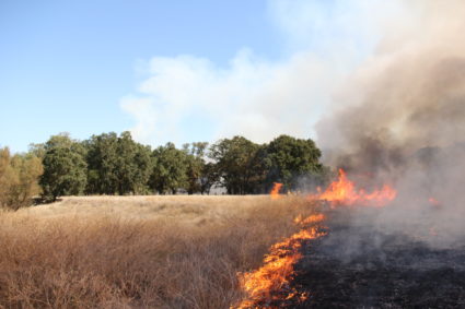 ‘Fire is medicine’: How Indigenous practices could help curb wildfires ...