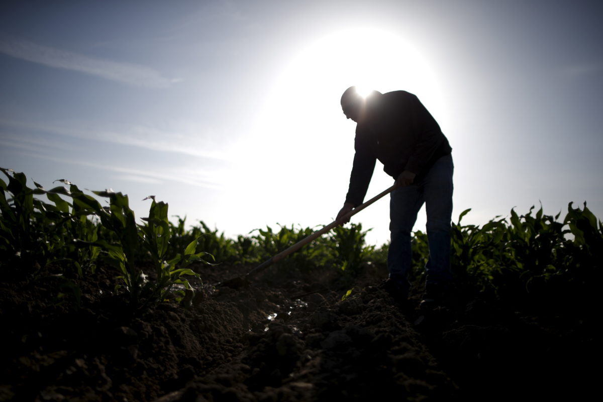 Farmworkers are dying in extreme heat. Few standards exist to protect ...