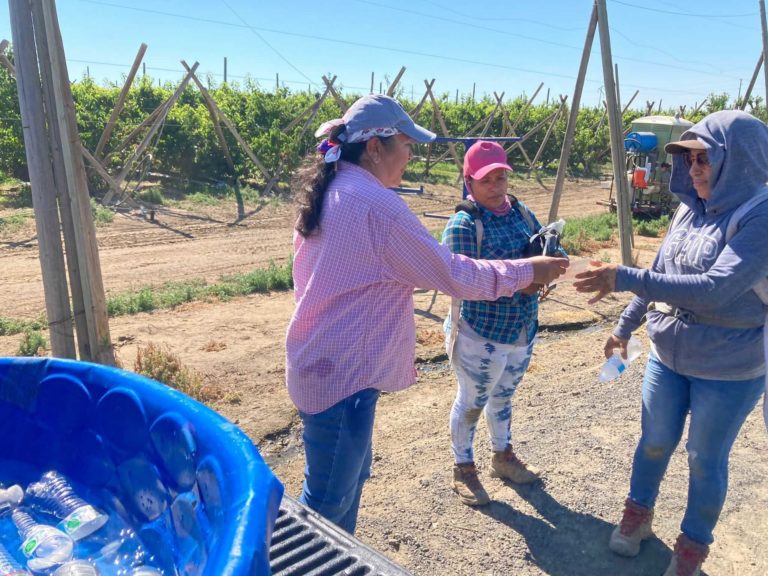 Farmworkers are dying in extreme heat. Few standards exist to protect ...