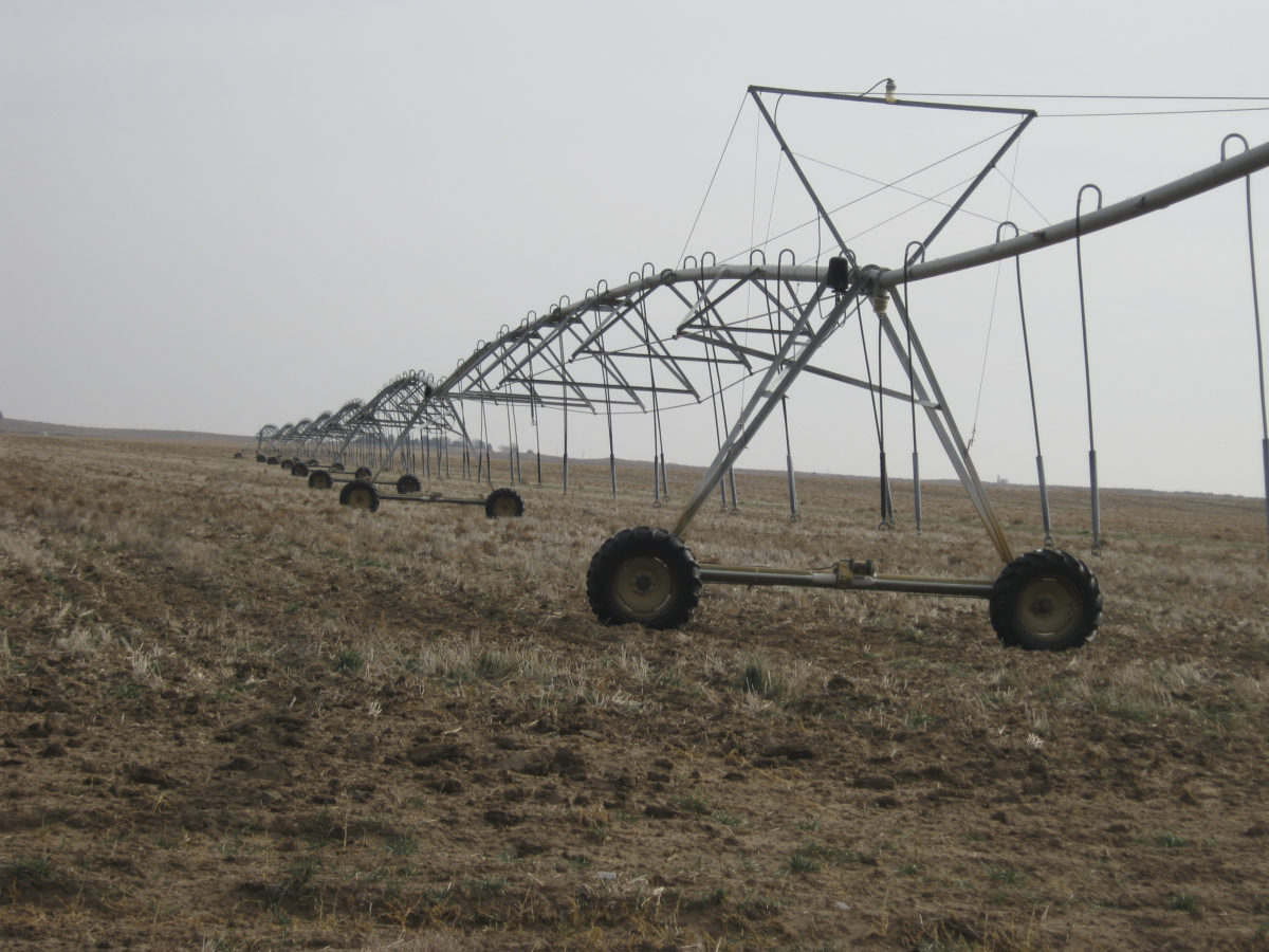 Farmers restore native grasslands to combat drying soil | PBS News