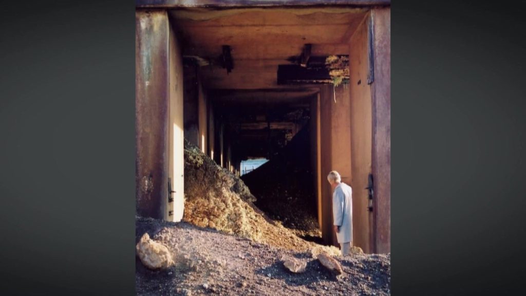 Industrial sites often create toxic waste. Julie Bargmann uses it to ...