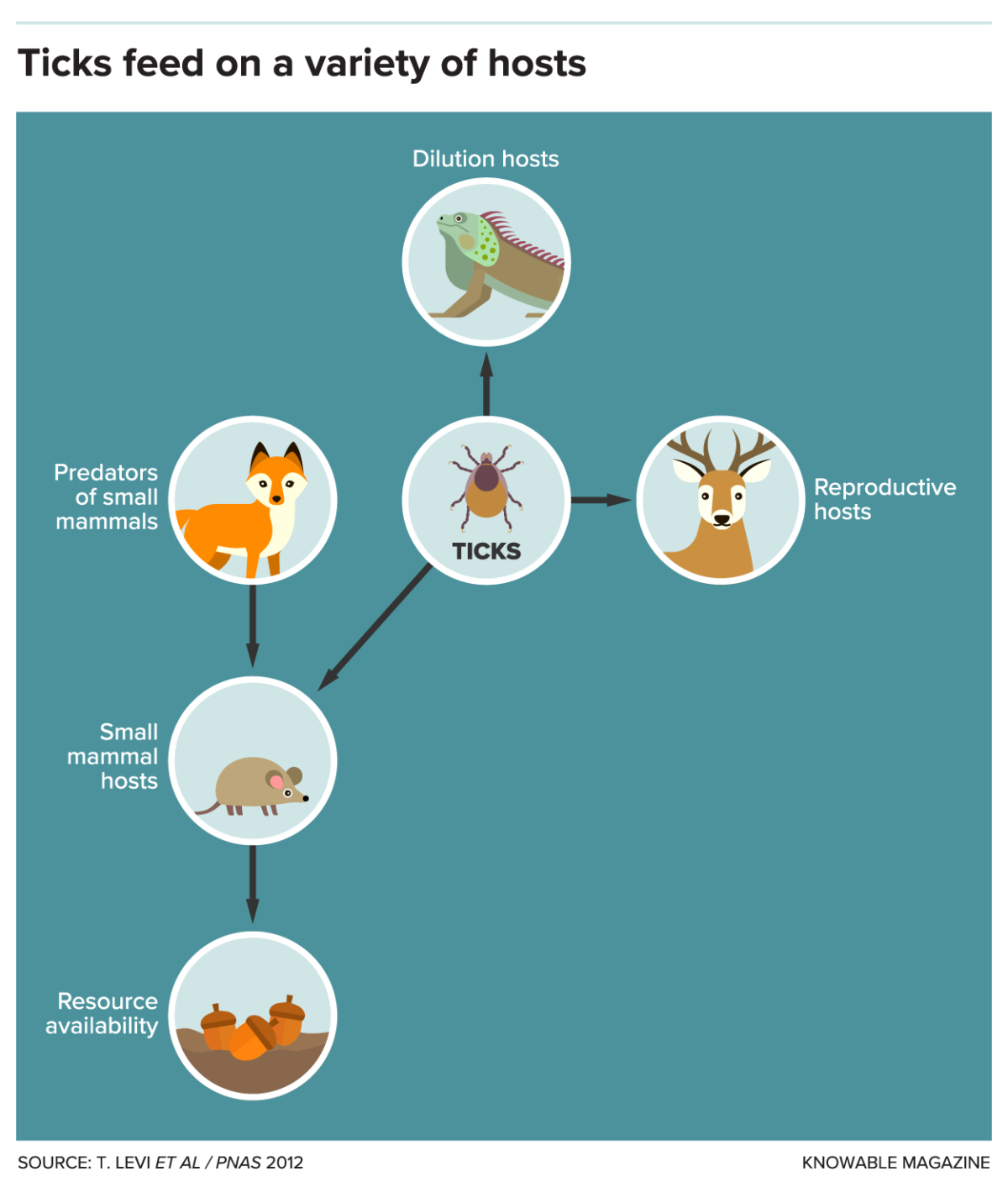 Why Lyme and other tick-borne diseases are on the rise | PBS News