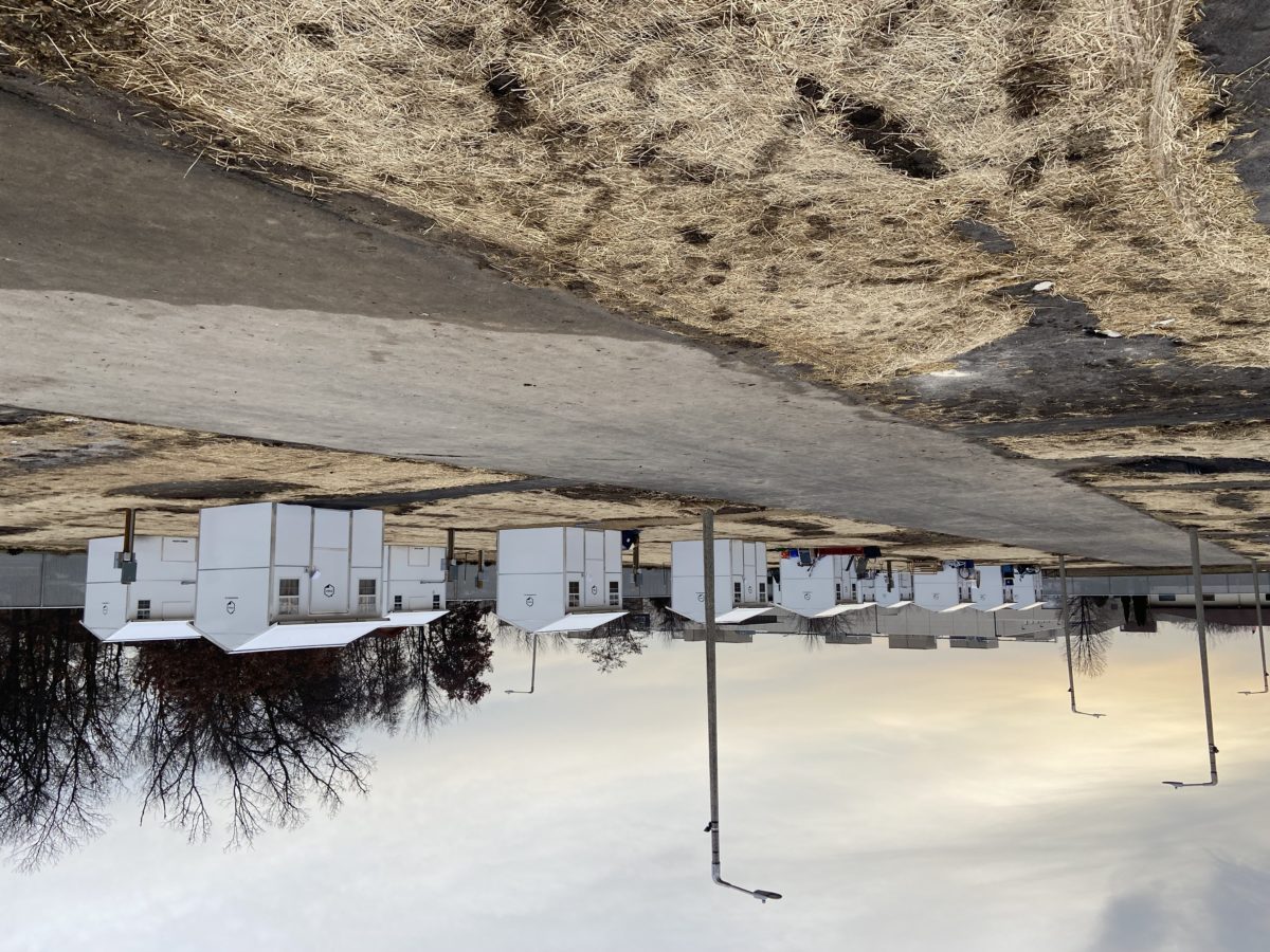 With housing costs rising, tiny homes offer one solution to address ...