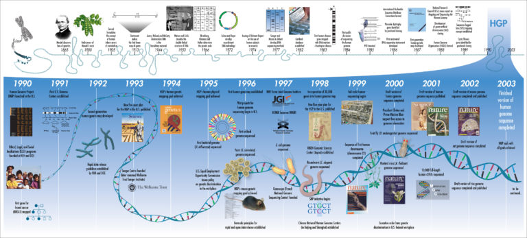 How scientists finally completed the human genomic puzzle | PBS News