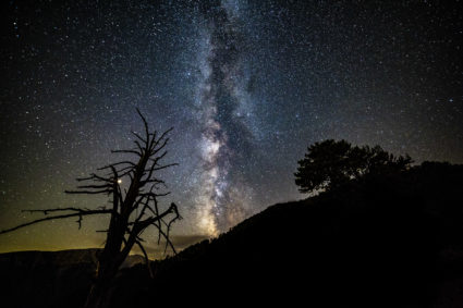 European ‘star survey’ reveals celestial treasure trove | PBS NewsHour