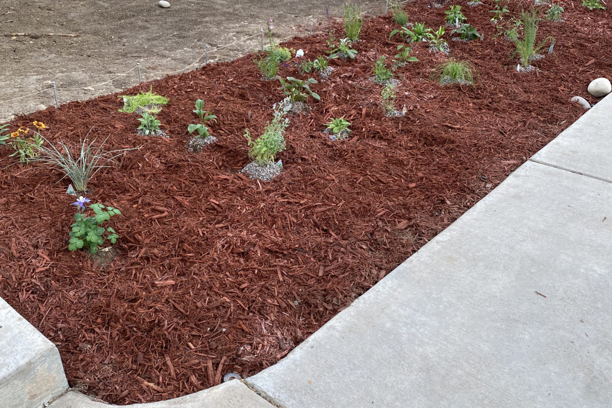 What is xeriscaping? How you can turn your lawn into a sustainable ...