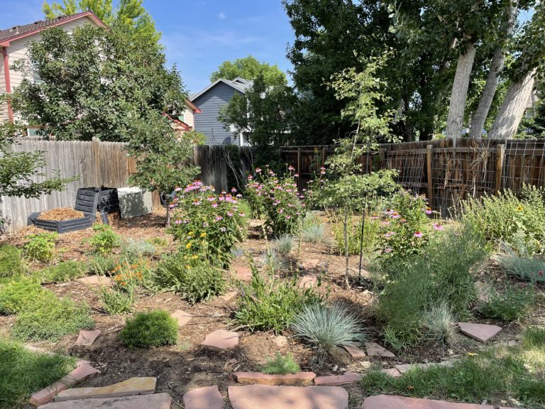 What is xeriscaping? How you can turn your lawn into a sustainable ...