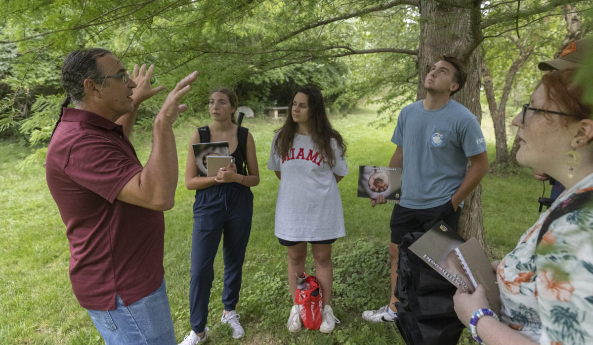 Analysis: How Indigenous languages can be preserved, and why those ...