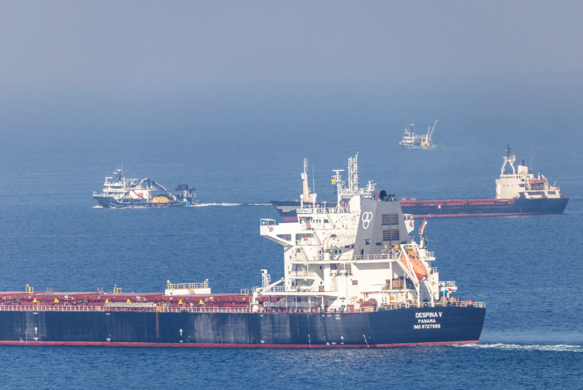 Ukrainian grain ship inspections decreased by half since October | PBS News