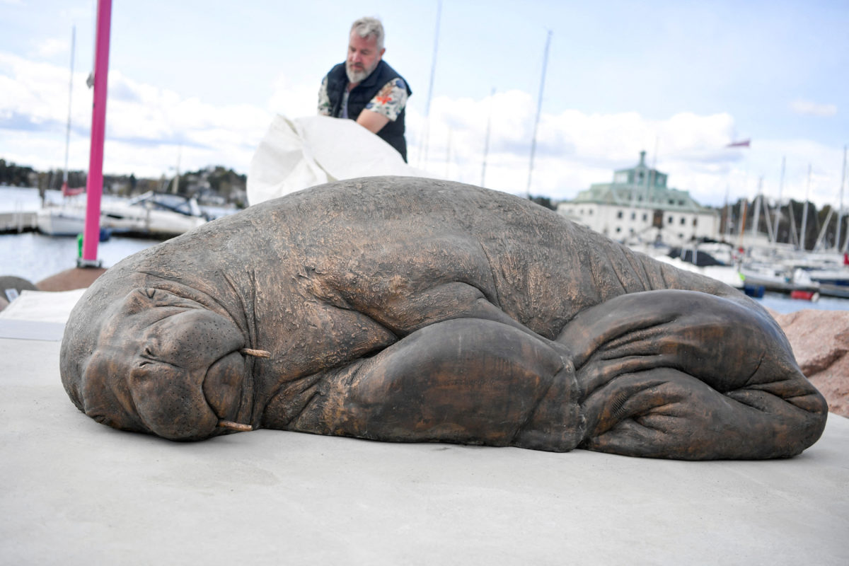 Life-size sculpture of Freya the walrus unveiled in Norway | PBS News