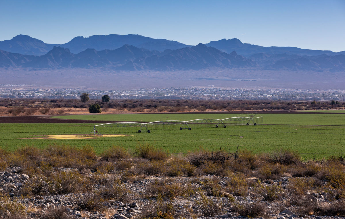 In drought-stricken Arizona, fresh scrutiny of Saudi Arabia-owned farm ...