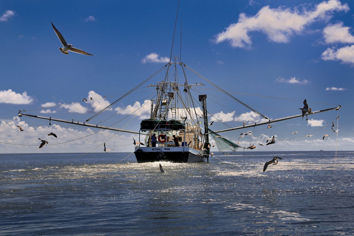 Louisiana shrimpers are in trouble. Here's why | PBS News