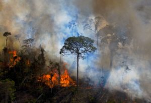 As record acreage burns in Brazil's Amazon, criminals are exploiting ...