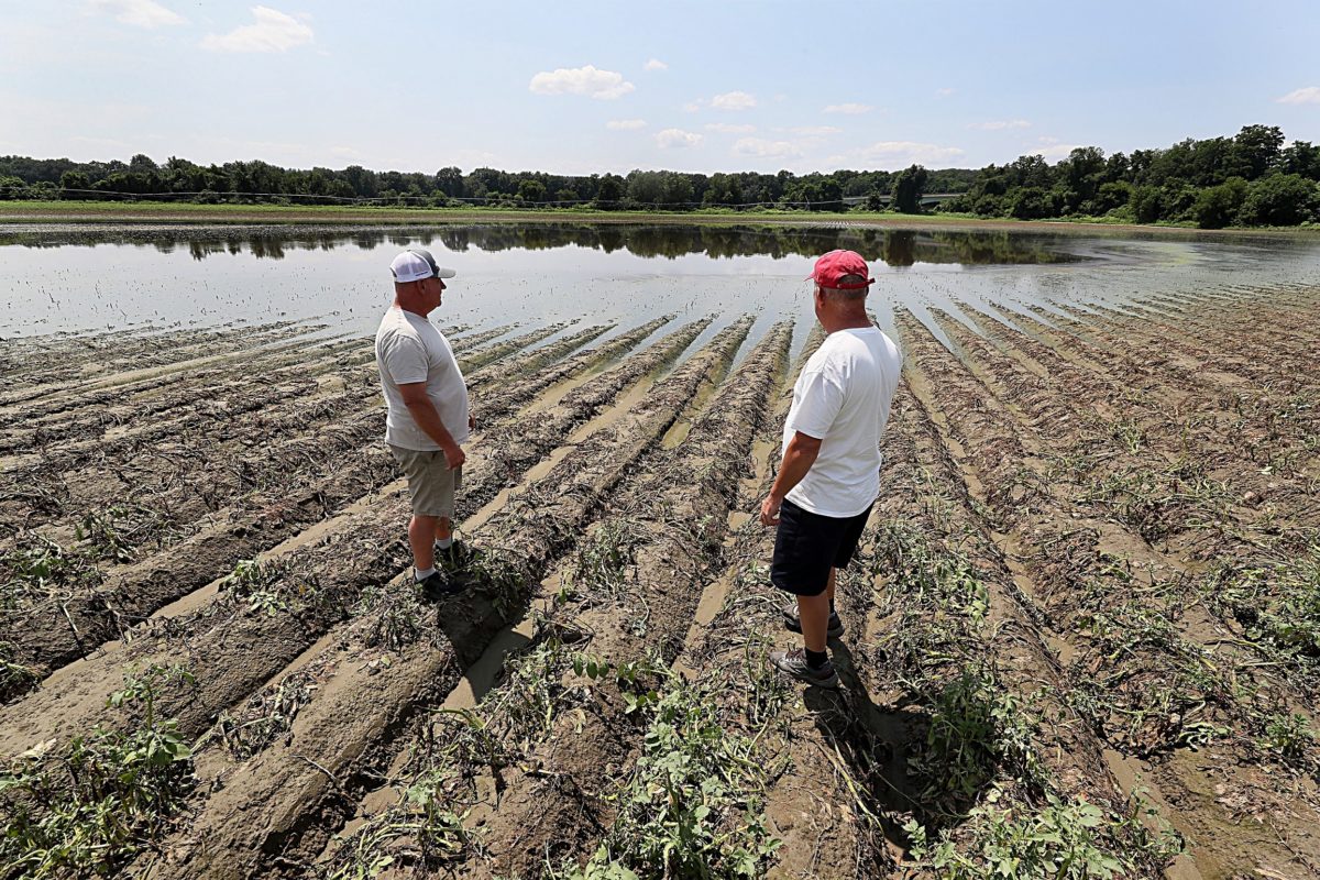 Northeast farmers ‘heartbroken’ as floods devastate months of labor and ...