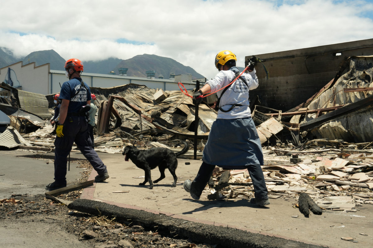Maui wildfire death toll rises to 106 as teams search to find and ...
