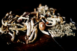 Oregon’s new psilocybin service center invites public to try ...